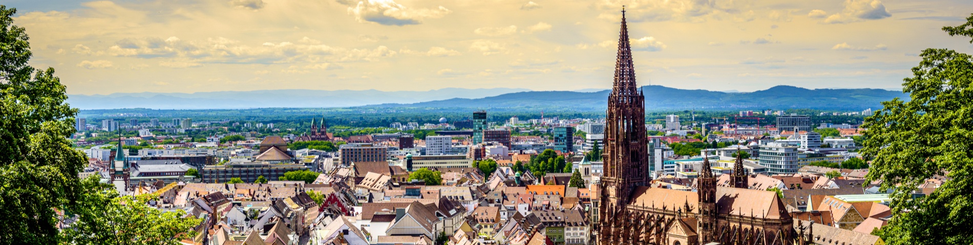 All 5 Universities in Freiburg | Rankings & Reviews 2023