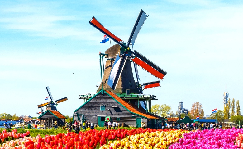 All 56 Universities in Netherlands | Rankings & Reviews 2023