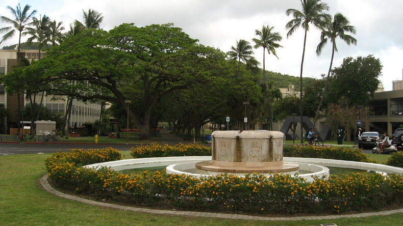 33 rankings of University of Hawaii at Manoa 2023