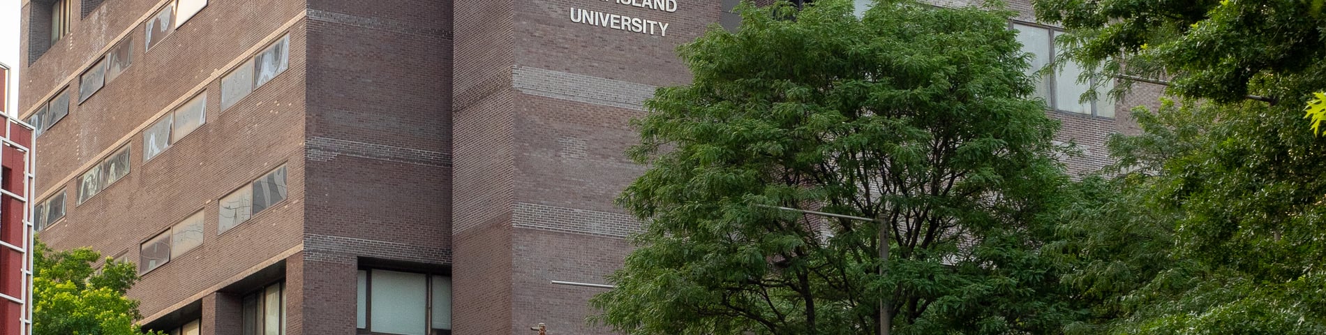 8 rankings of Long Island University System 2025