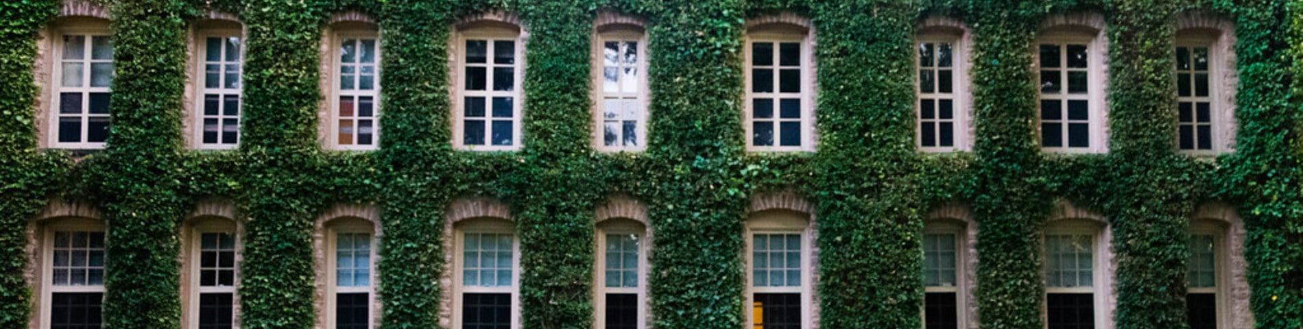 45 rankings of Princeton University 2025