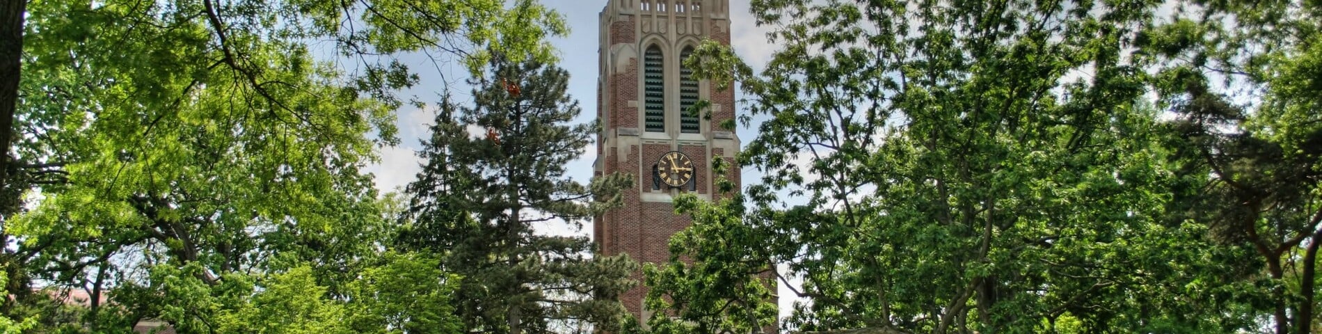 48 rankings of Michigan State University 2025