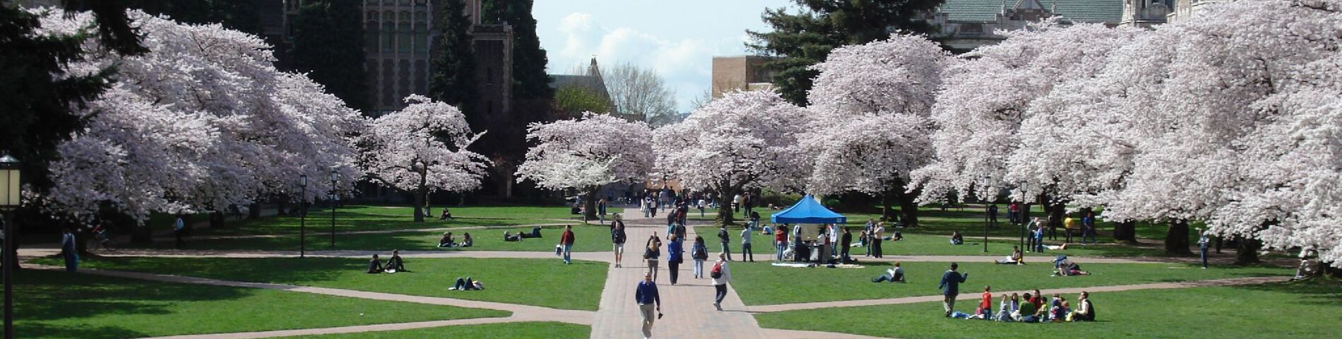 49 rankings of University of Washington 2025