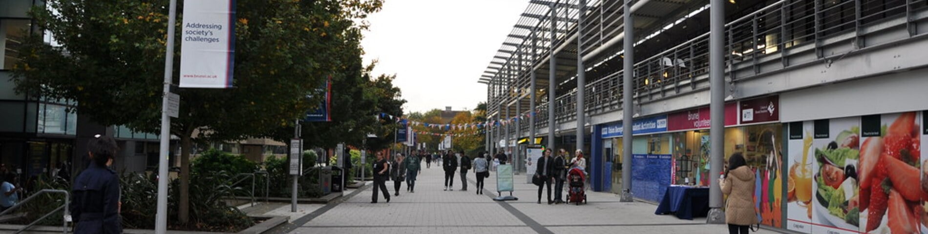 33 rankings of Brunel University 2025