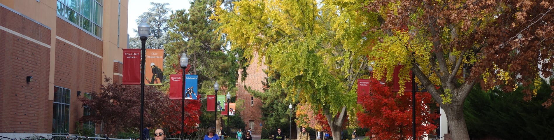 11 rankings of California State University, Chico 2025