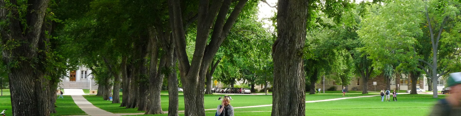 41 rankings of Colorado State University 2025