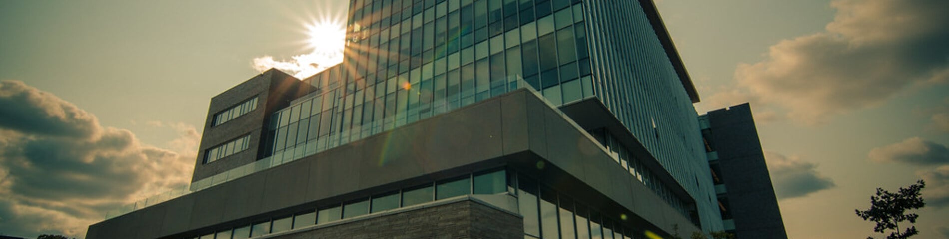 25 rankings of Carleton University 2025